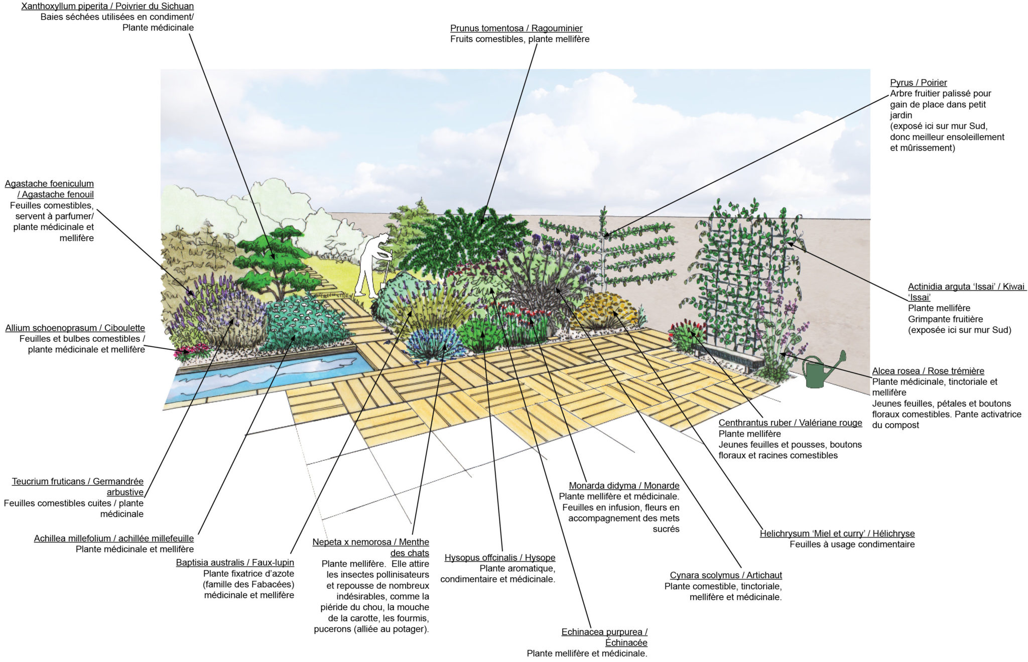 Un jardin comestible idéal pour Garden_Lab#07 - Atelier l'Embellie